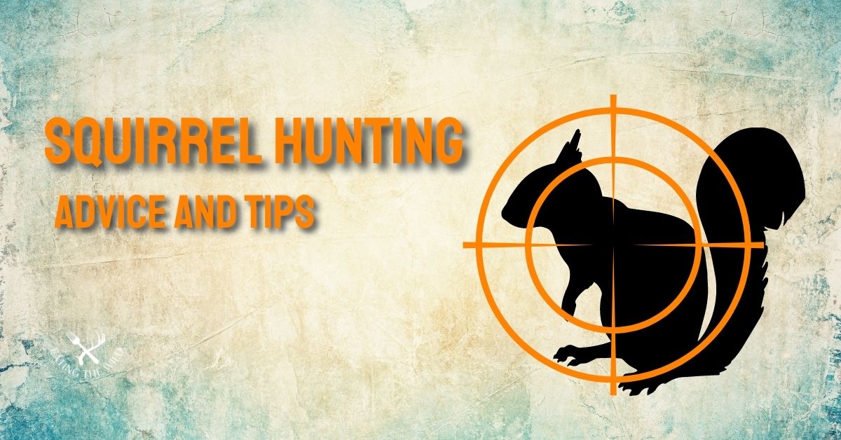 Squirrel Hunting-Advice and Tips - eatingthewild.com