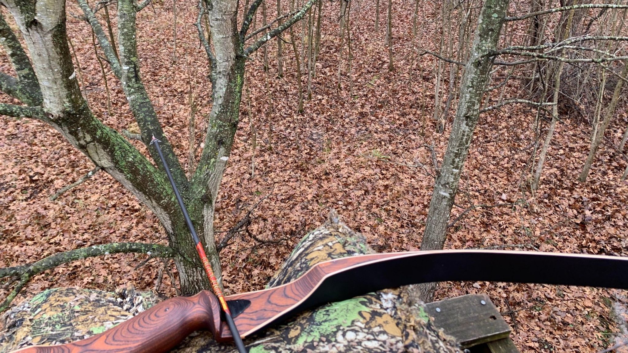 Traditional Bowhunting For Beginners - eatingthewild.com