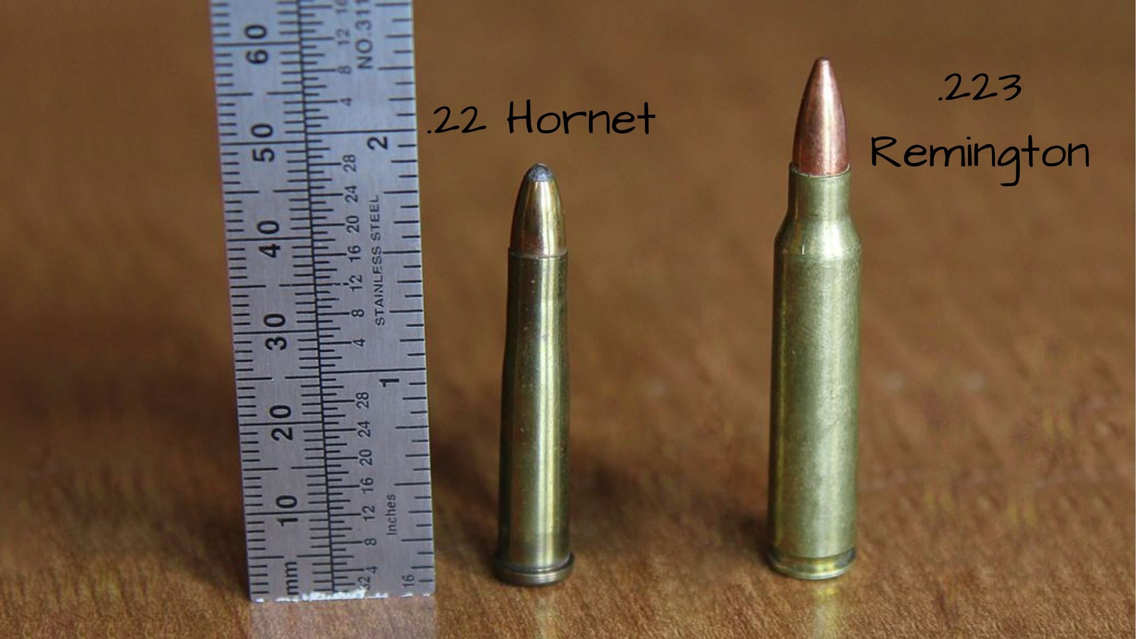 22 Hornet Vs 223 Which Is Better Eatingthewild