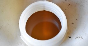 6 Methods to Bait Hogs Quickly - eatingthewild.com