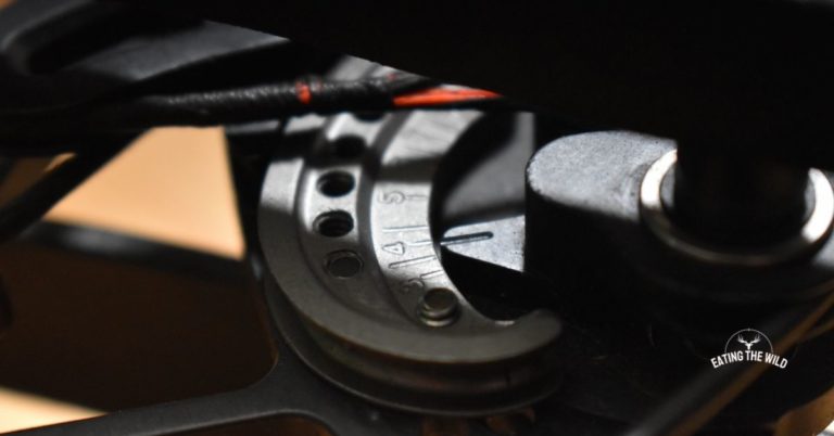 How to Adjust Draw Length on a Bear Compound Bow - eatingthewild.com
