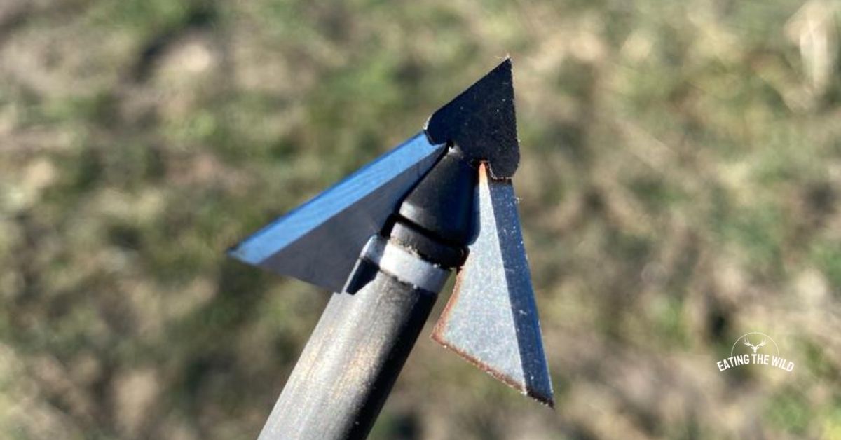 QAD Exodus Review (Tried and Tested) - eatingthewild.com