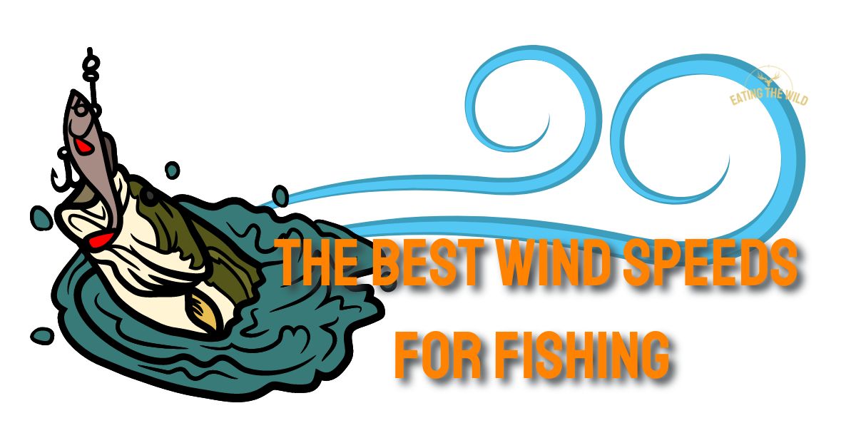 The Best Wind Speeds For Fishing Eatingthewild