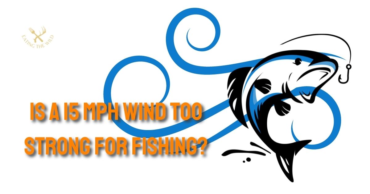 Is A 15 MPH Strong For Fishing Eatingthewild