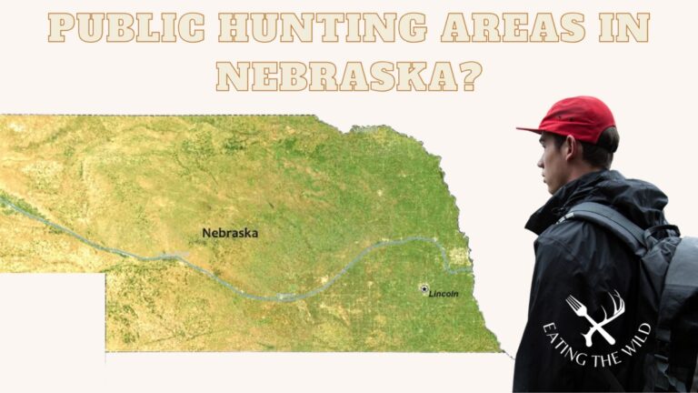 Hunting Seasons in Nebraska - eatingthewild.com