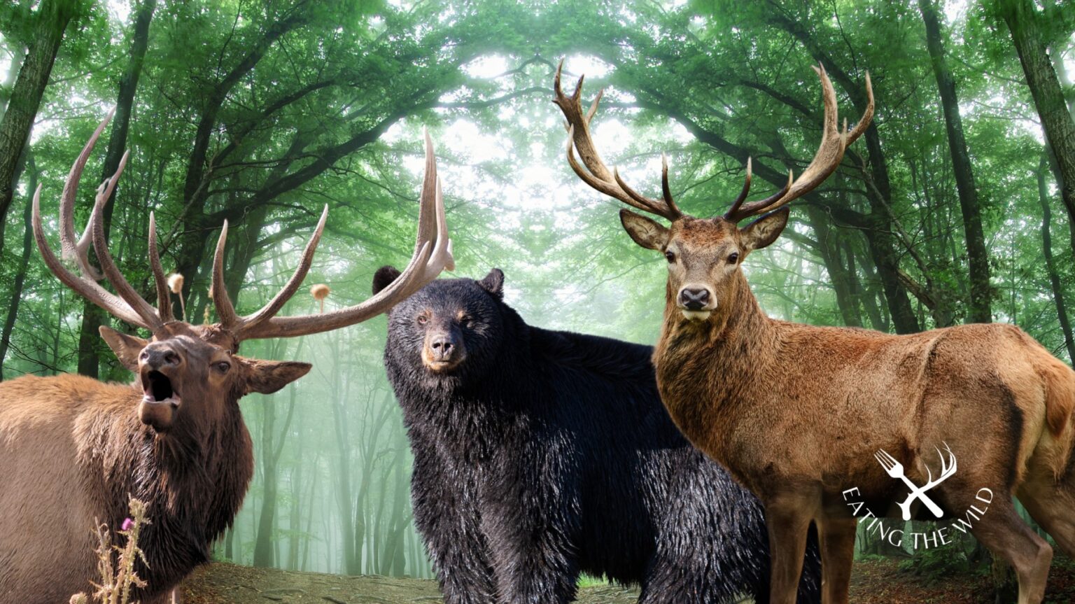 Best Hunting in Montana - eatingthewild.com