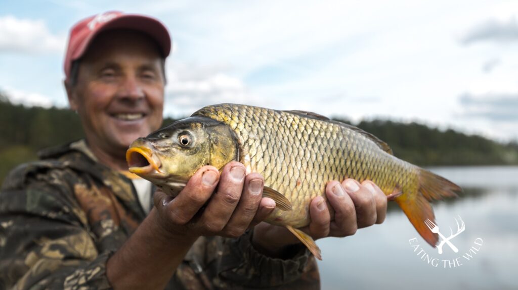 Best Time To Fish For Carp (A Seasonal Guide) - eatingthewild.com