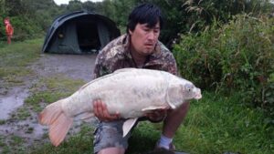The Ghost Carp – Breeding, Identification & Catching Them ...